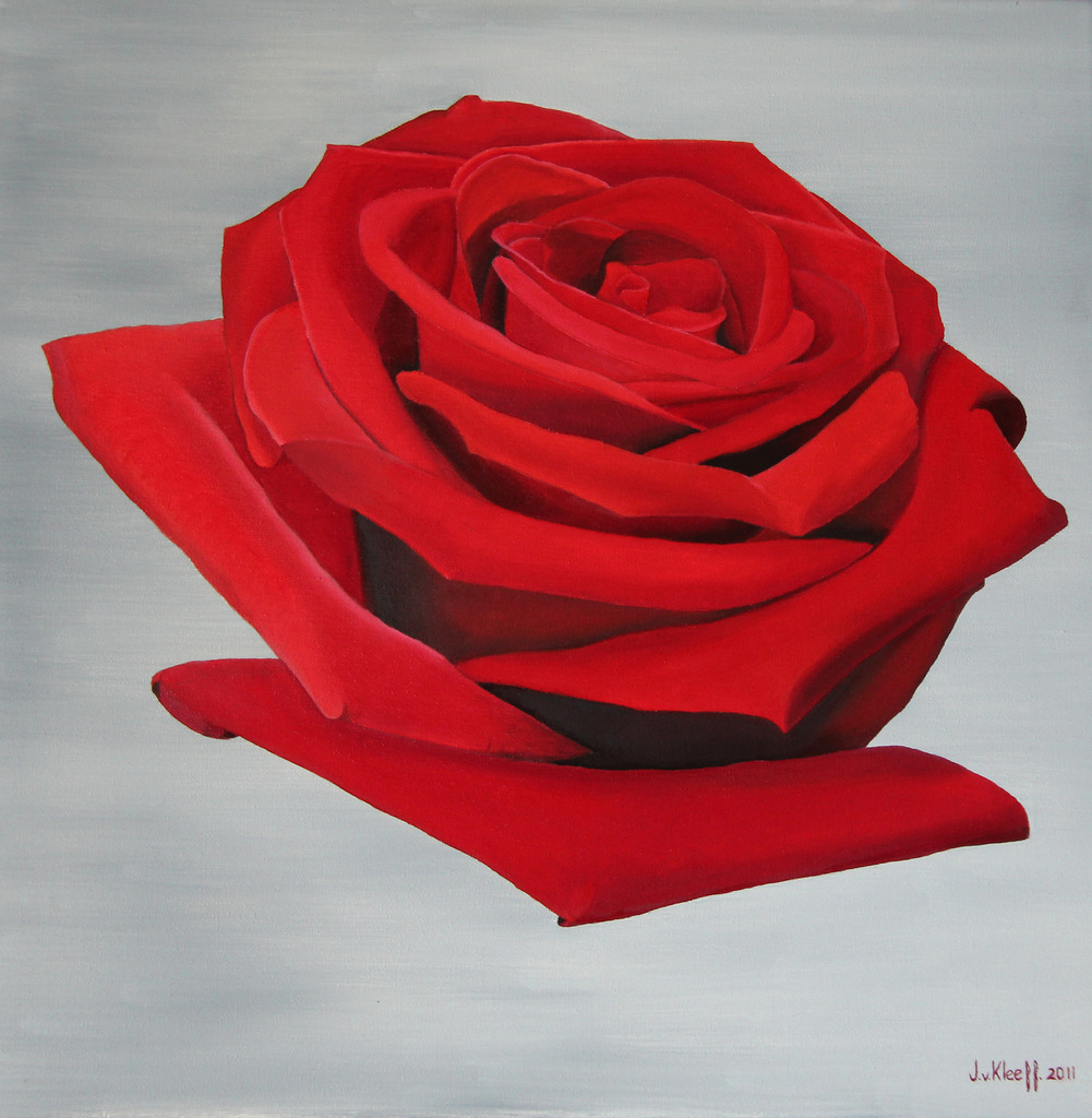 Jan van Kleeff - Roos 2
